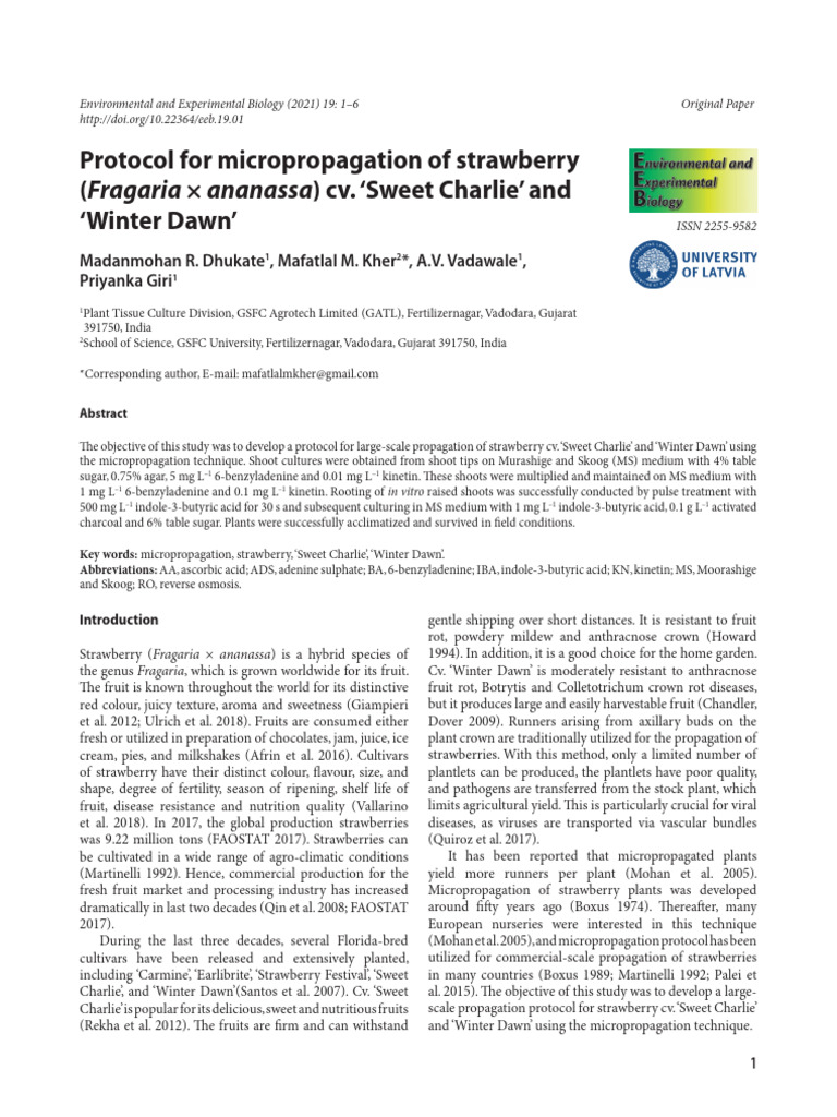 Strawberry | PDF | Strawberry | Botany