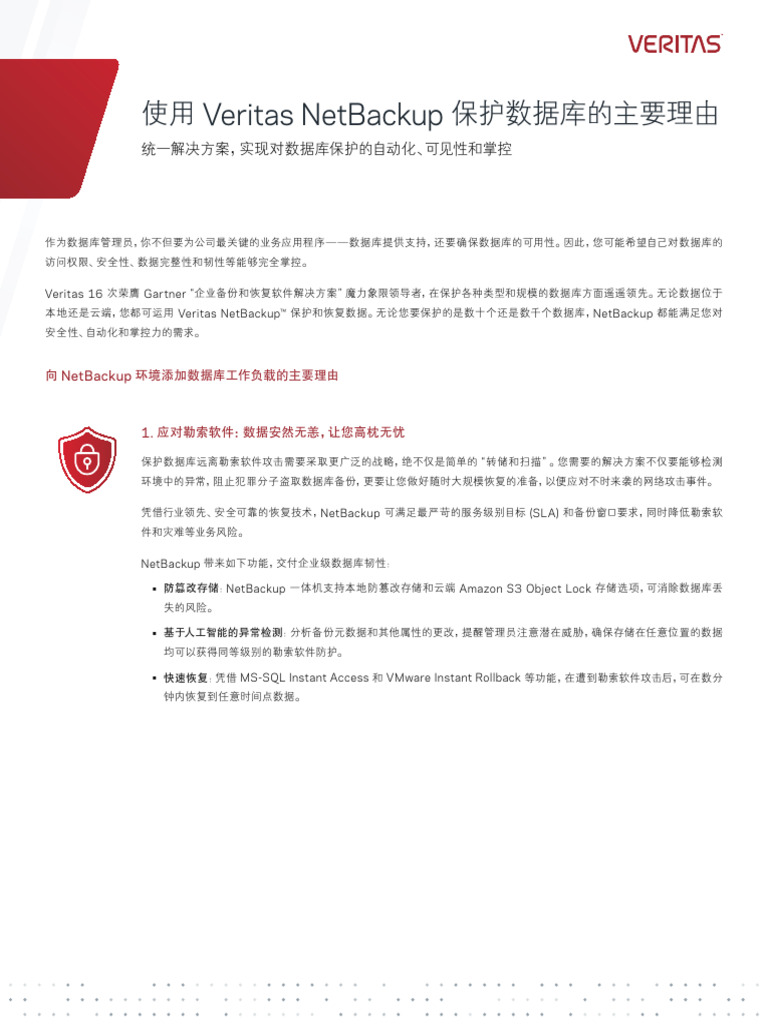 V1389 - 使用 Veritas NetBackup 保护数据库的主要理由 | PDF