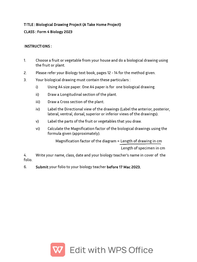 Form 4 Biology Drawing Project | PDF