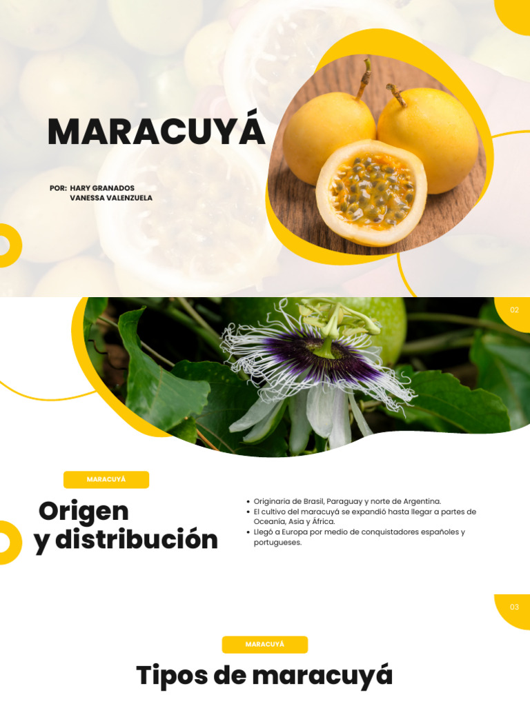 Beneficios y Variedades del Maracuyá | PDF | Fruta