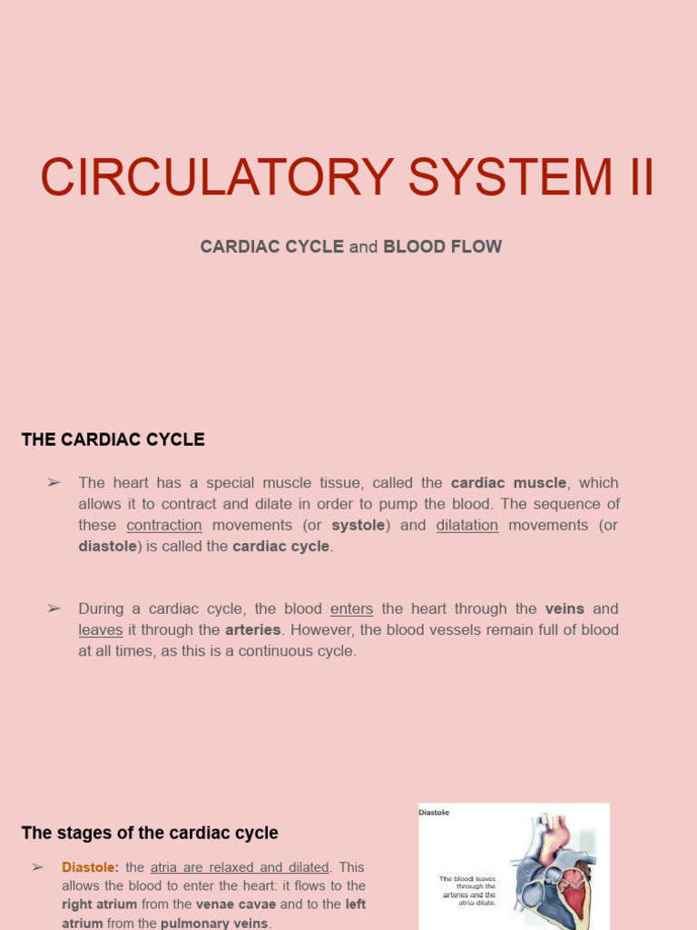 CARDIAC CYCLE and BLOOD FLOW | PDF | Heart | Atrium (Heart)
