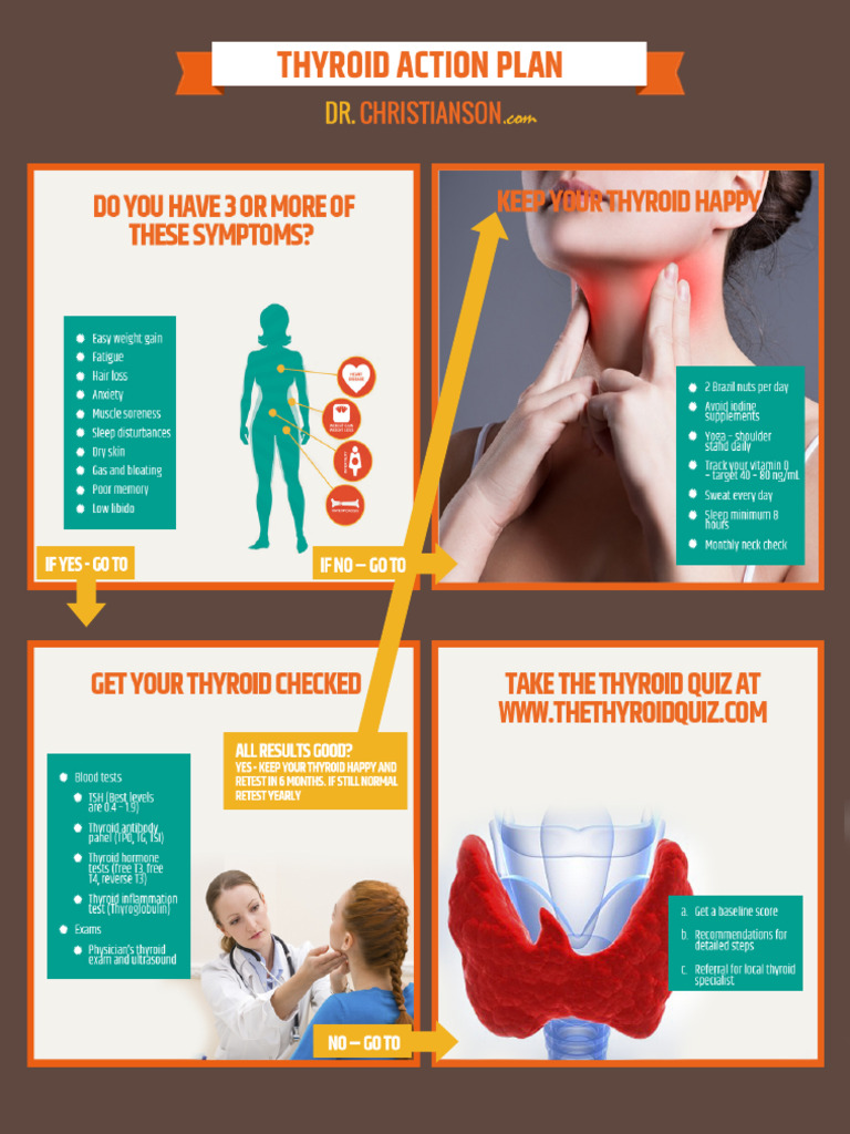 Thyroid-Action-Plan New | PDF