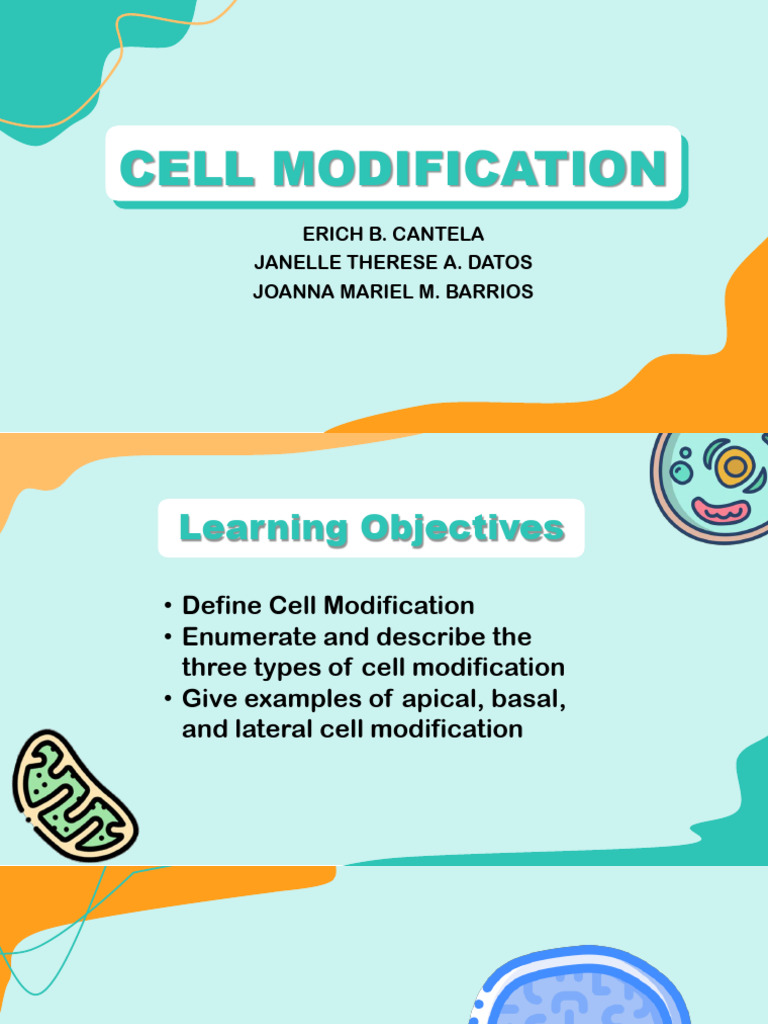 Cell Modification | PDF | Cell (Biology) | Cell Membrane