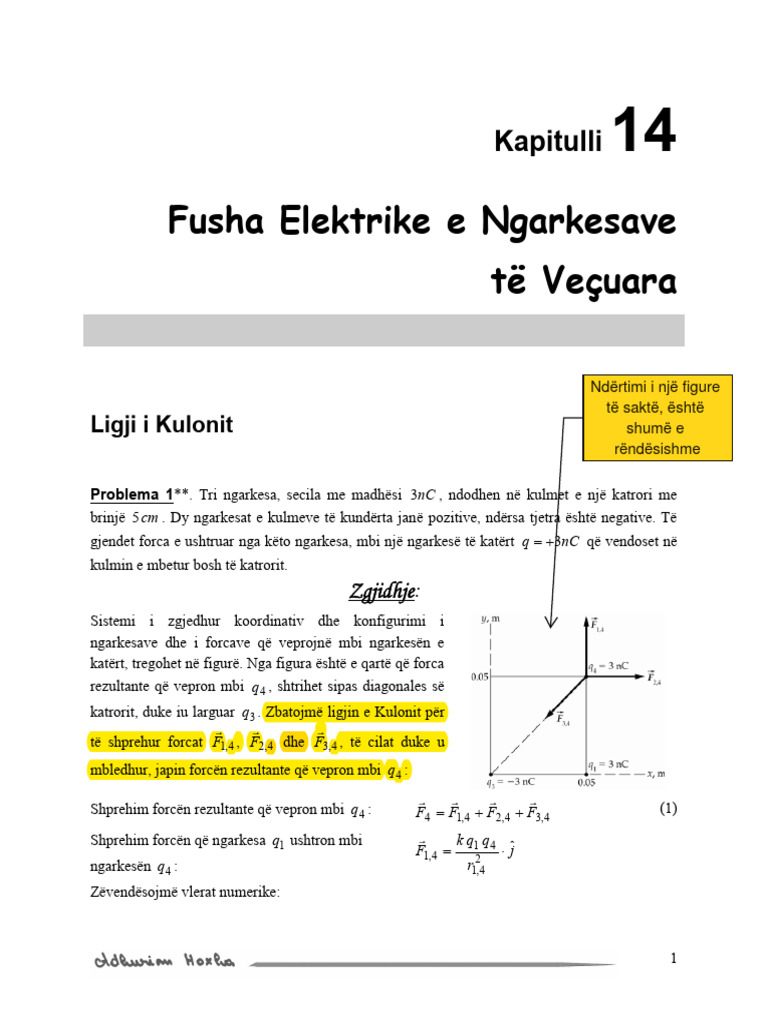 Kapitulli 18 (Ushtrime Të Zgjidhura) | PDF