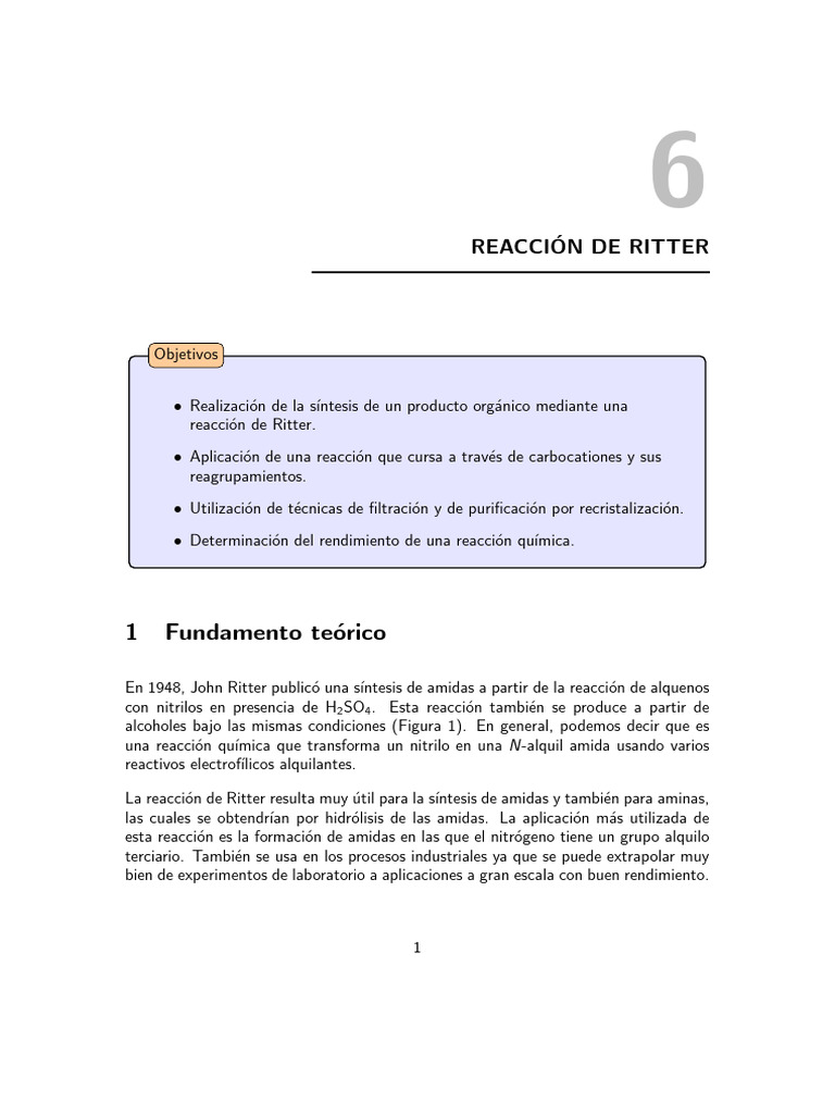 PR Ctica 6 Reacci N de Ritter | PDF | Química Orgánica | Química
