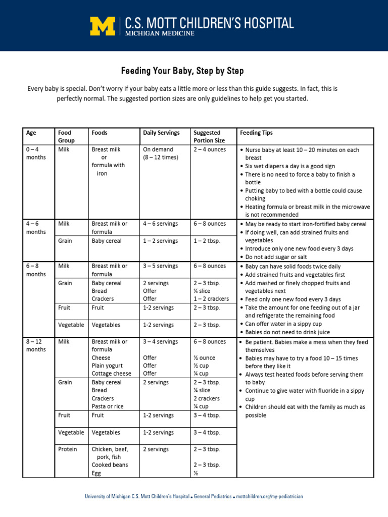 Baby Food Stages and Guidelines | PDF | Foods | Infants