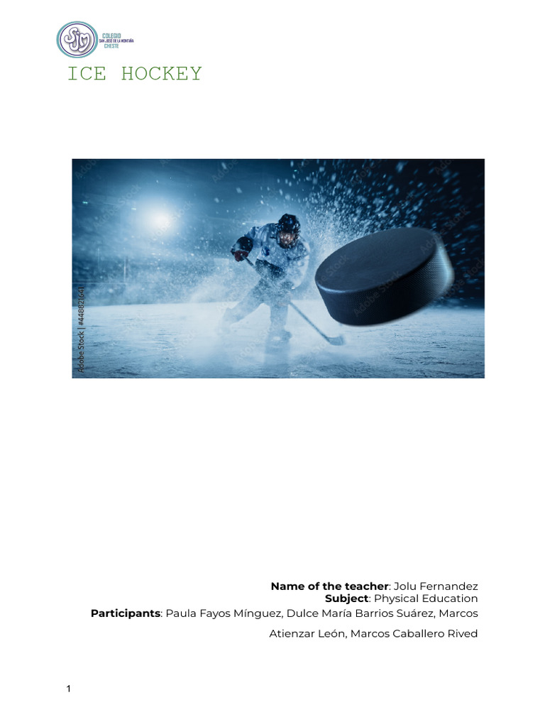 Hockey | PDF | Ice Hockey | Sport Variants