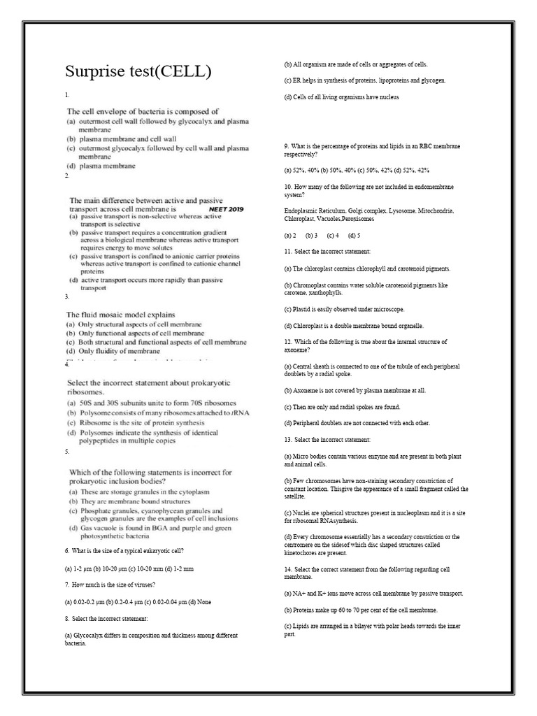 Cell ST | Download Free PDF | Cell Membrane | Cell (Biology)