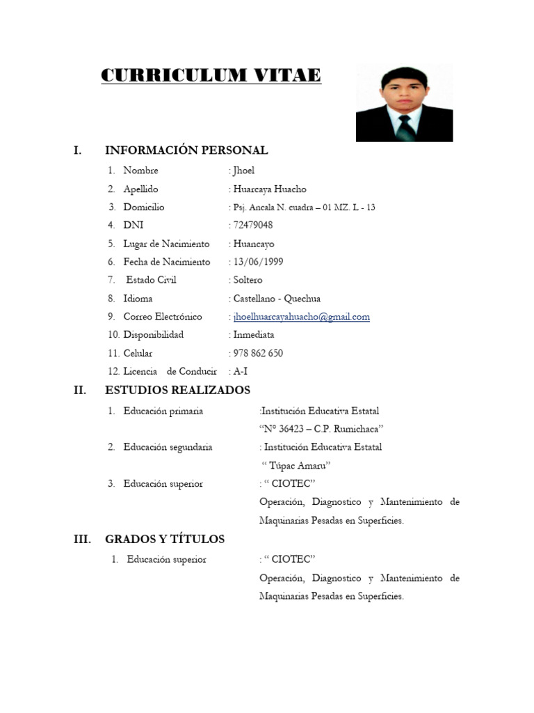 CV Huarcaya | PDF | Documento de identidad