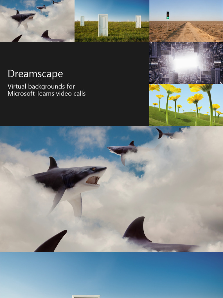 Presentation 49 | PDF | Computer File | Window (Computing)