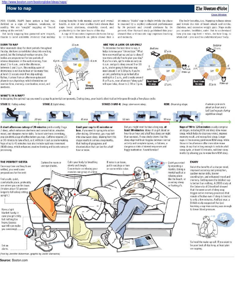 Effective Napping Techniques | PDF | Social Science | Philosophy