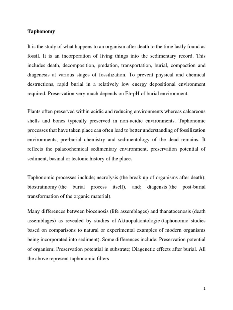 TAPHONOMY | PDF | Fossil | Sedimentary Rock