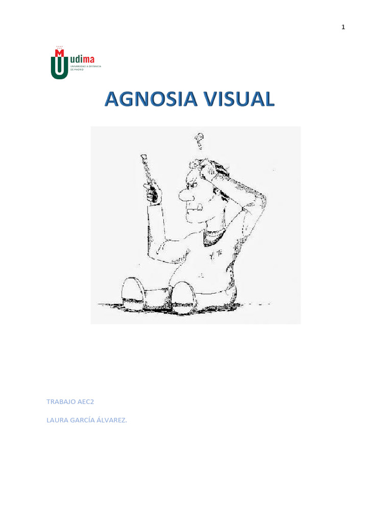 Agnosia Visual AEC 2 | PDF | Ciencias del comportamiento | Neurociencia