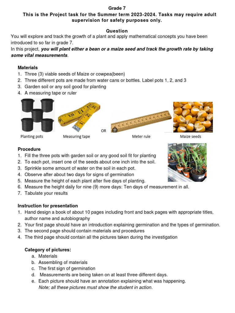 g7 Summer 2024 Project | PDF | Seed | Chart