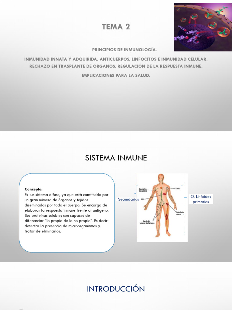 Tema 2 PNI | PDF | Sistema inmune | Linfocitos