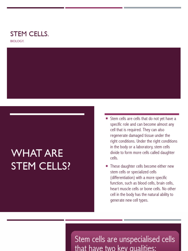 Biology Stem Cells | Download Free PDF | Stem Cell | Cell Potency