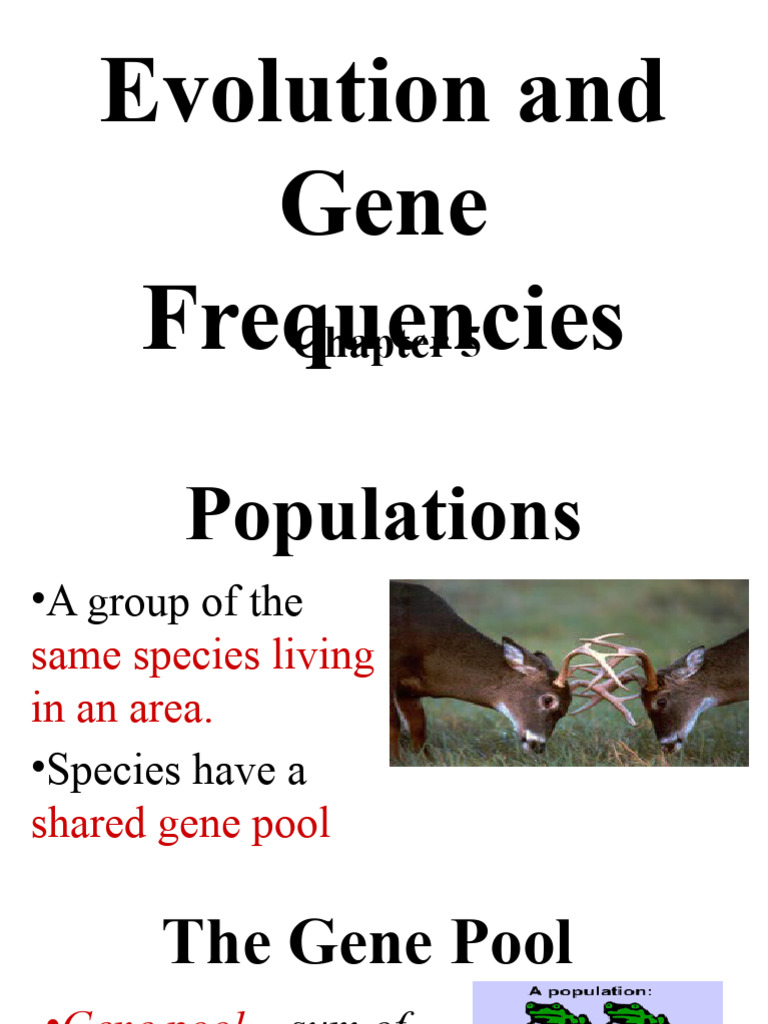 Chapter 5 Zoo Evolution and Gene Frequencies | PDF | Natural Selection | Zygosity