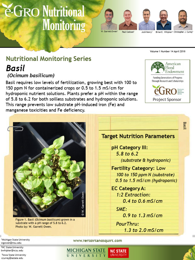 Nutritional-Factsheet Basil | PDF | Fertilizer | Hydroponics