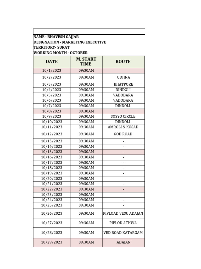 Bhavesh Marketing Reporting | PDF