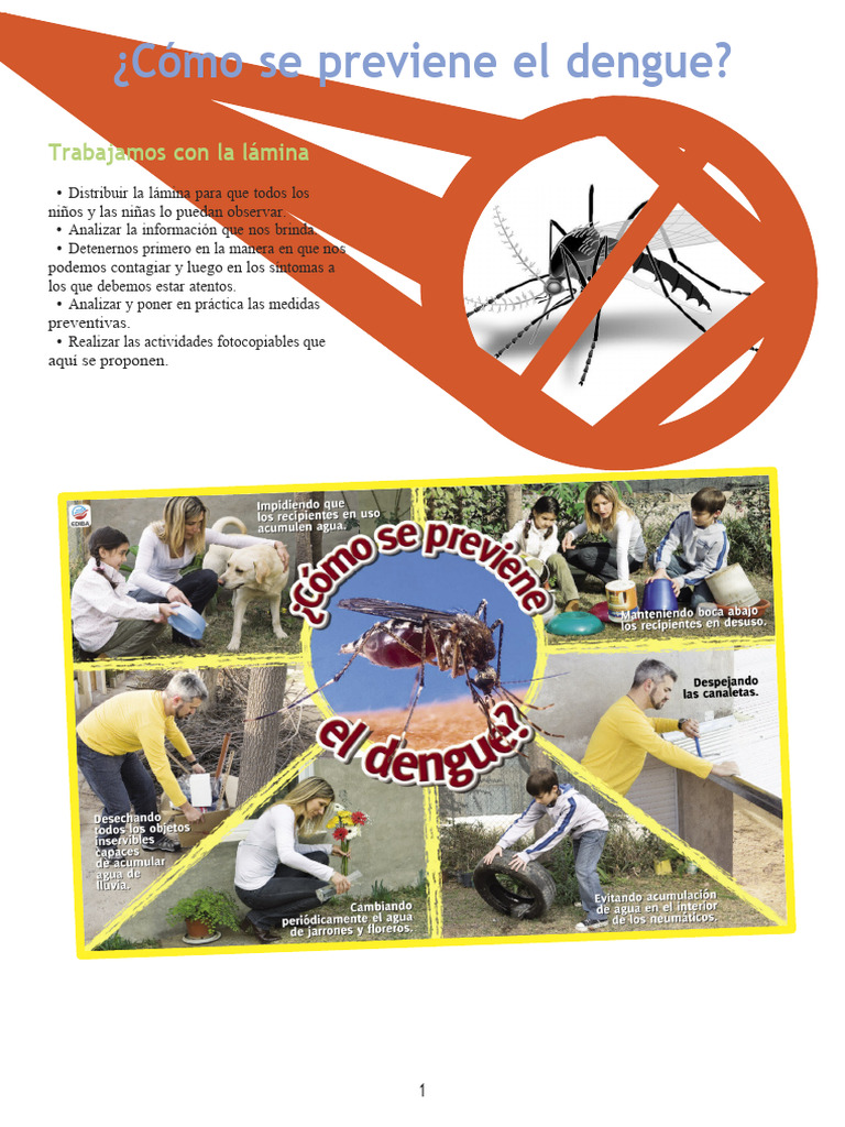 Prevención del Dengue para Niños | PDF | Aedes aegypti | Mosquito