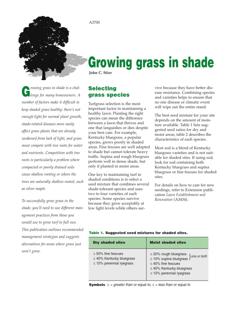 Growing Grass in Shade | PDF | Sod | Fertilizer