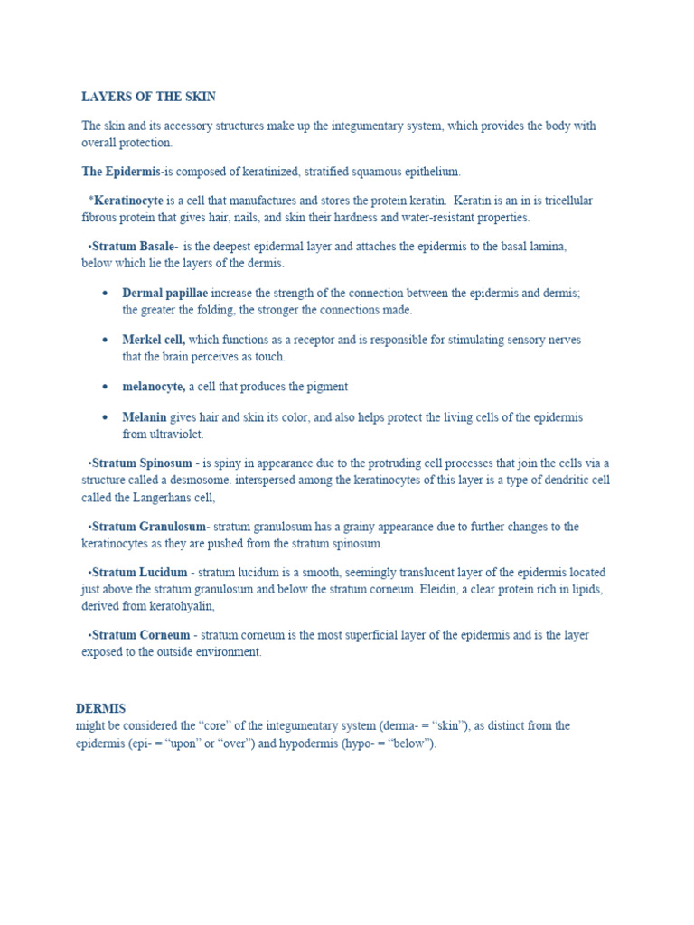 LAYERS OF THE SKIN | PDF | Skin | Epidermis