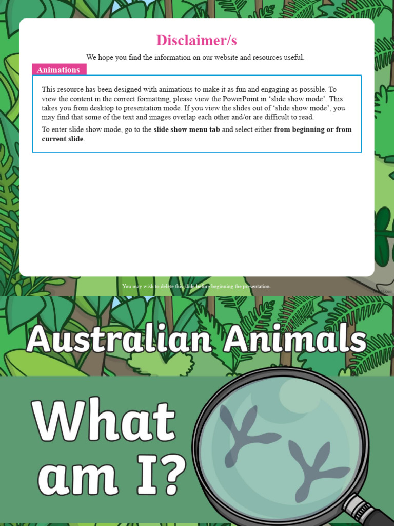 Australian Animals Interactive Game | PDF | Koala | Zoology