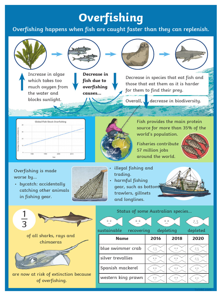 Au Hu 1673582934 Overfishing Infographic - Ver - 2 | PDF