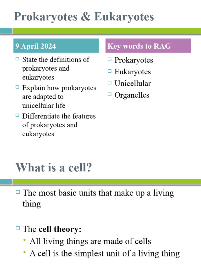 Prokaryotes Eukaryotes Pdf Cell Biology Prokaryote