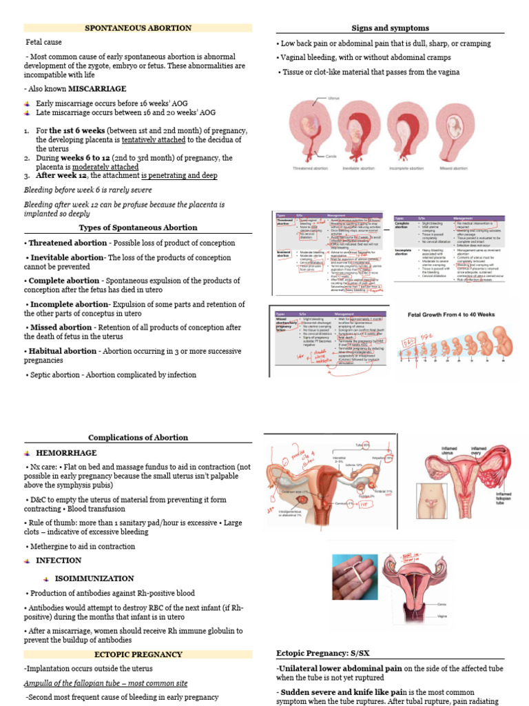 Maternal | Download Free PDF | Miscarriage | Uterus