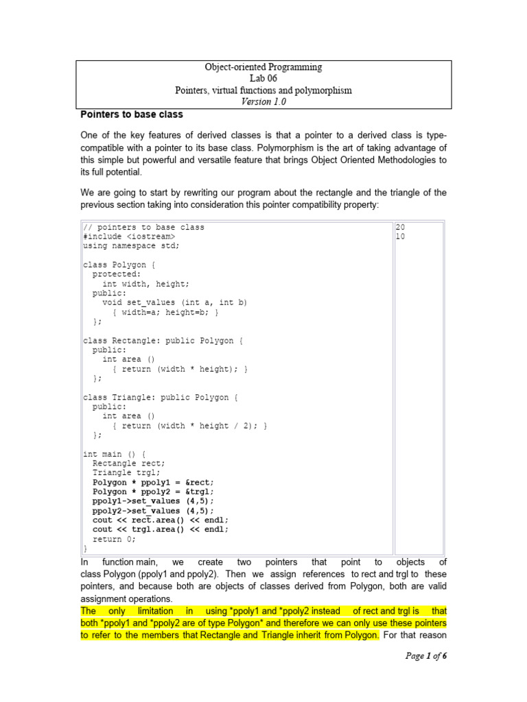 Lab 06 | Download Free PDF | Pointer (Computer Programming) | Area
