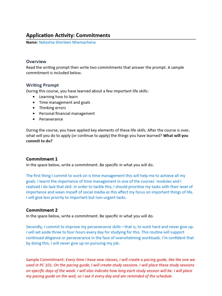 Student Commitment Examples | PDF | Business
