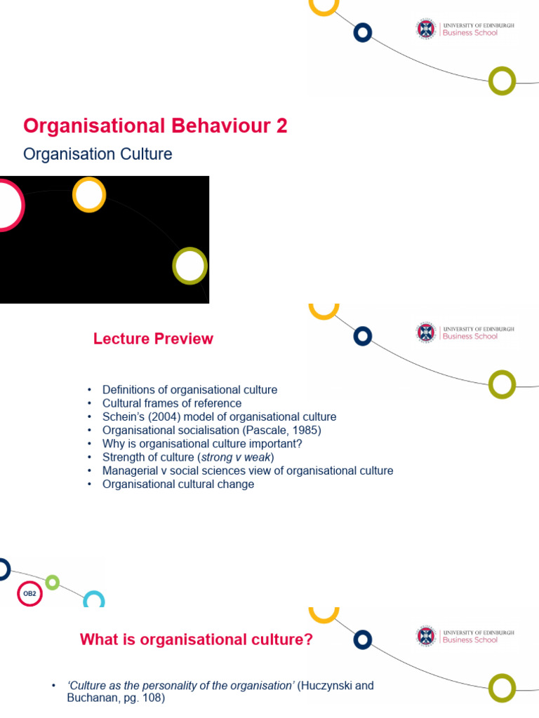 Organisational Culture | PDF | Organizational Culture | Scientific Theories