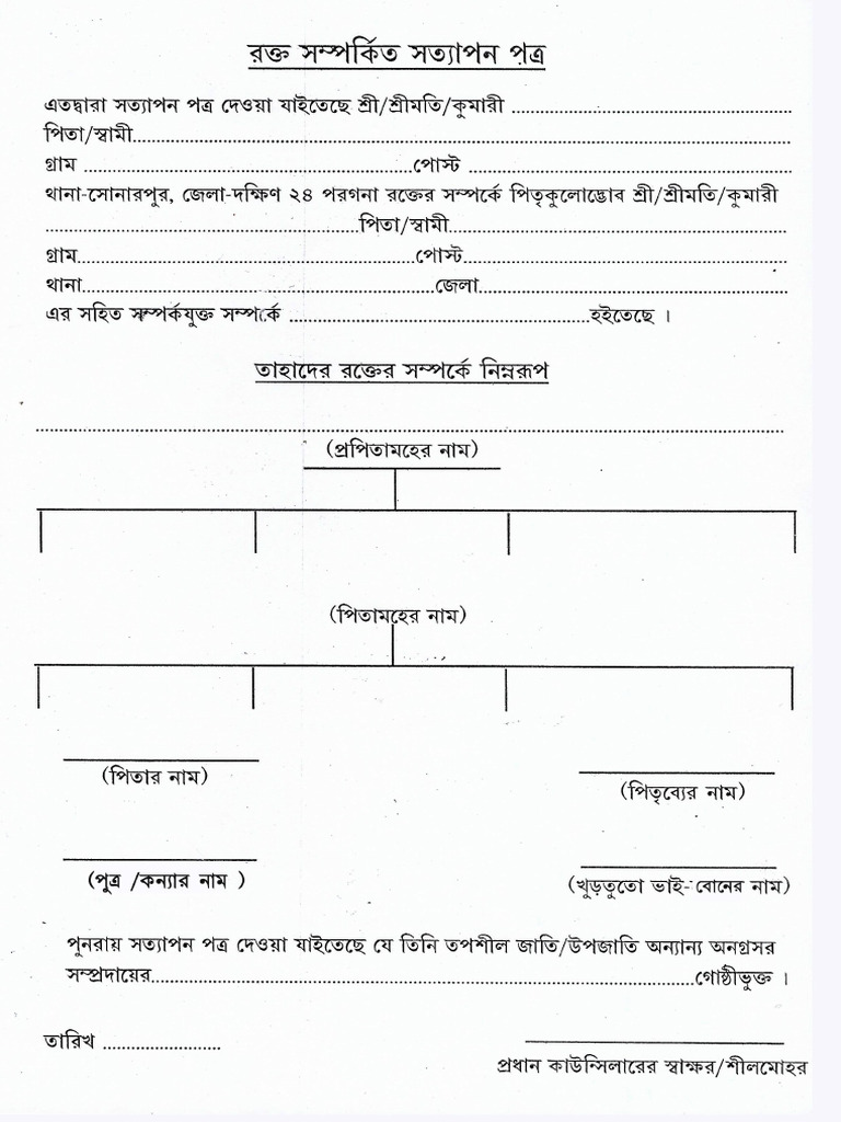 BLOOD RELATION CHART | PDF