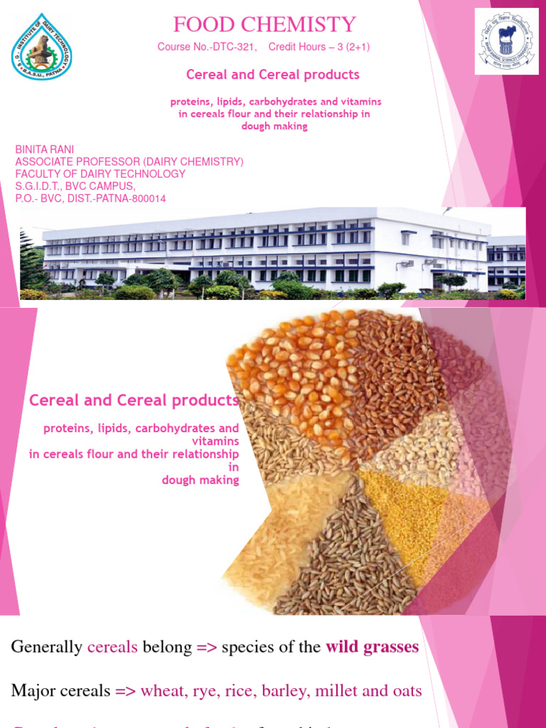 Creals | PDF | Cereals | Starch