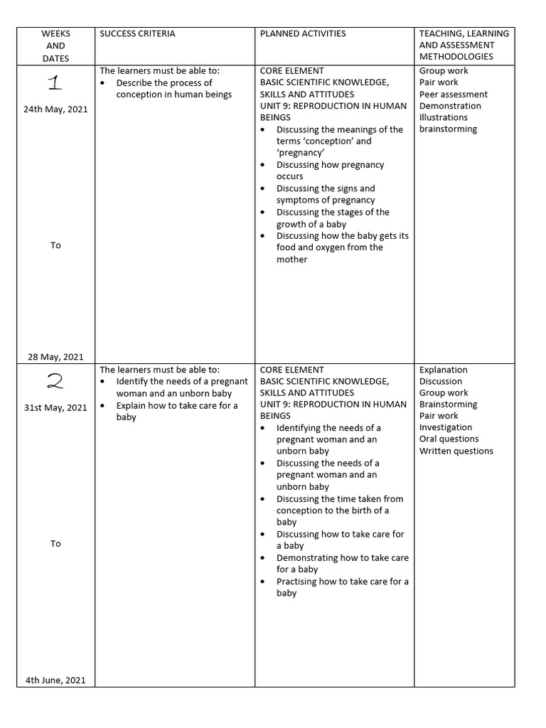 Term2 Std8 Scheme Science and Tech | PDF | Solubility | Baking