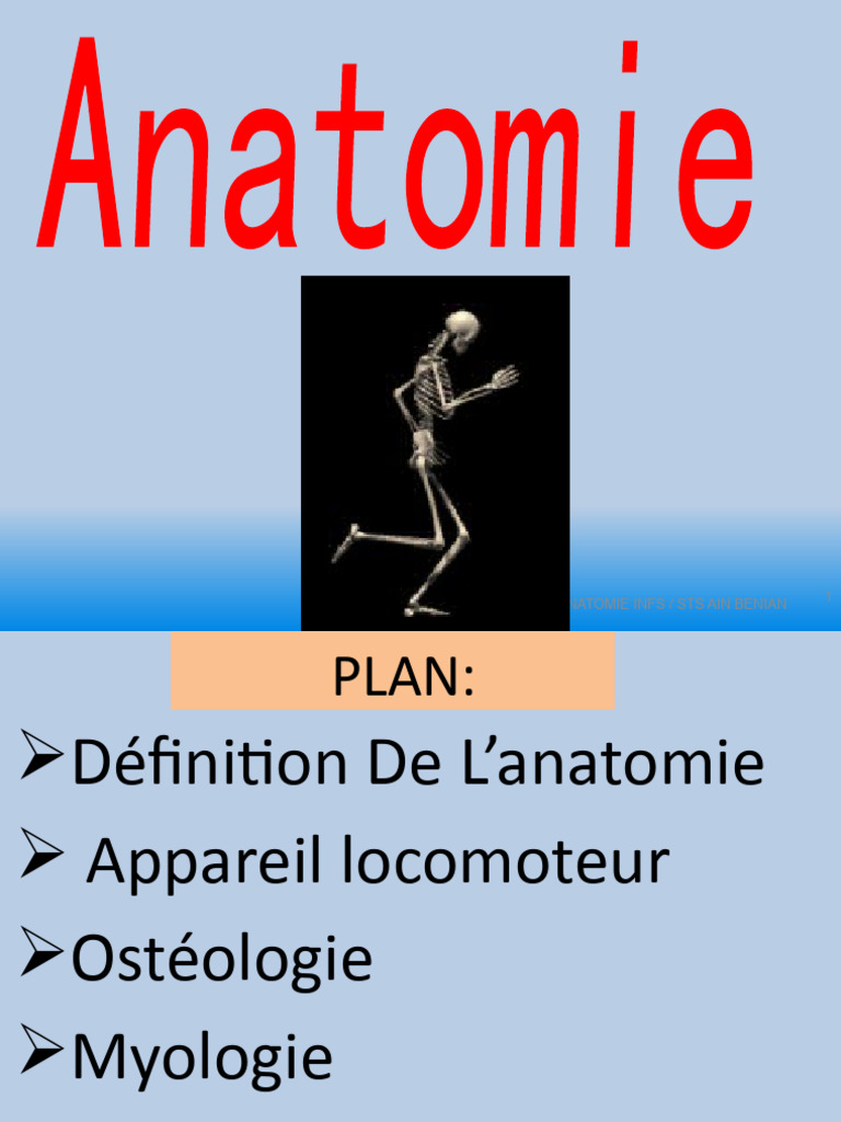 anatomie dahman R1 | PDF | Muscle | Colonne vertébrale