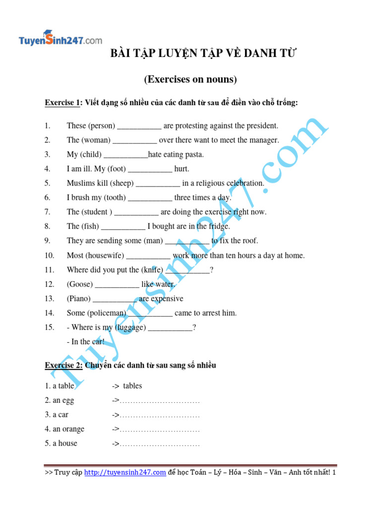 Bai Tap Luyen Tap Ve Danh Tu Exercises On Nouns | PDF