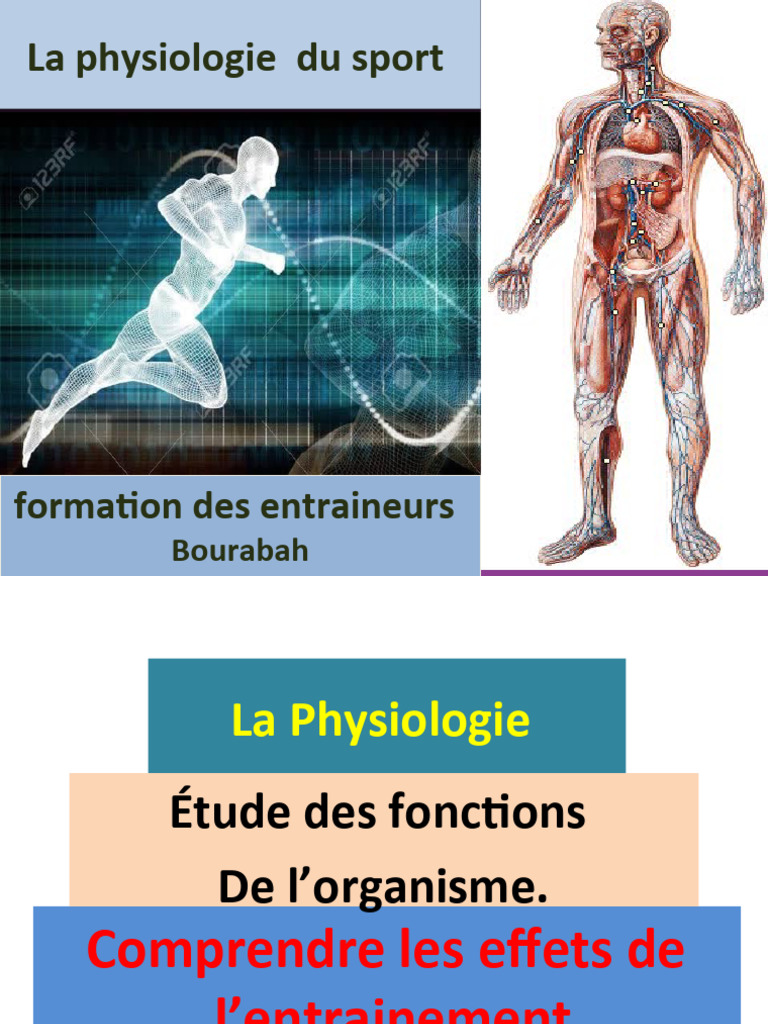 Physiologie (Fonctions) | PDF | Muscle | Métabolisme