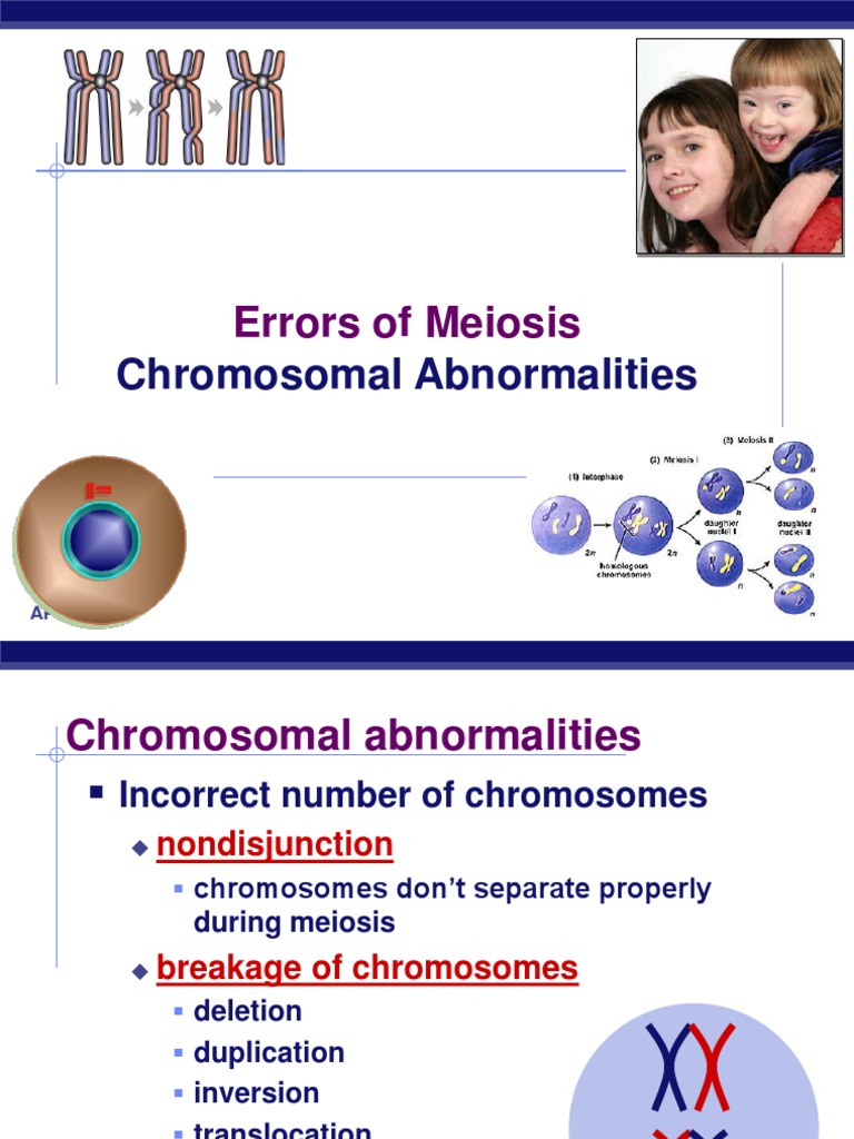 Chromosomal Abnormalities in Meiosis | PDF | Chromosome | Genetic Disorder