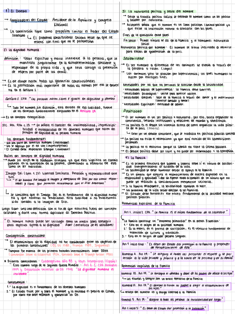 Parte 1 Resumen Consti | PDF | Dignidad | Familia