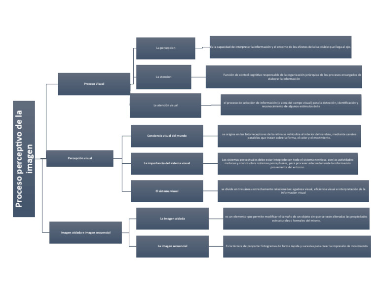 Proceso Visual | PDF | Percepción visual | Percepción