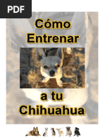 Cómo calcular tu Tonalli por nacimiento | PDF