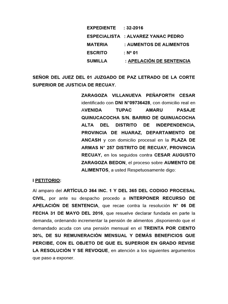 Escrito de Apelacion de Sentencia Peñafort Cesar | PDF | Ley procesal | Apelación