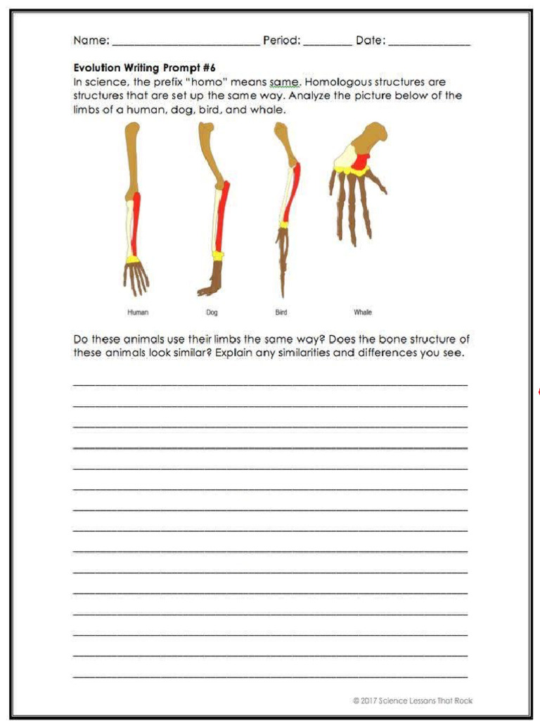 Evolution Sheet 2 | PDF