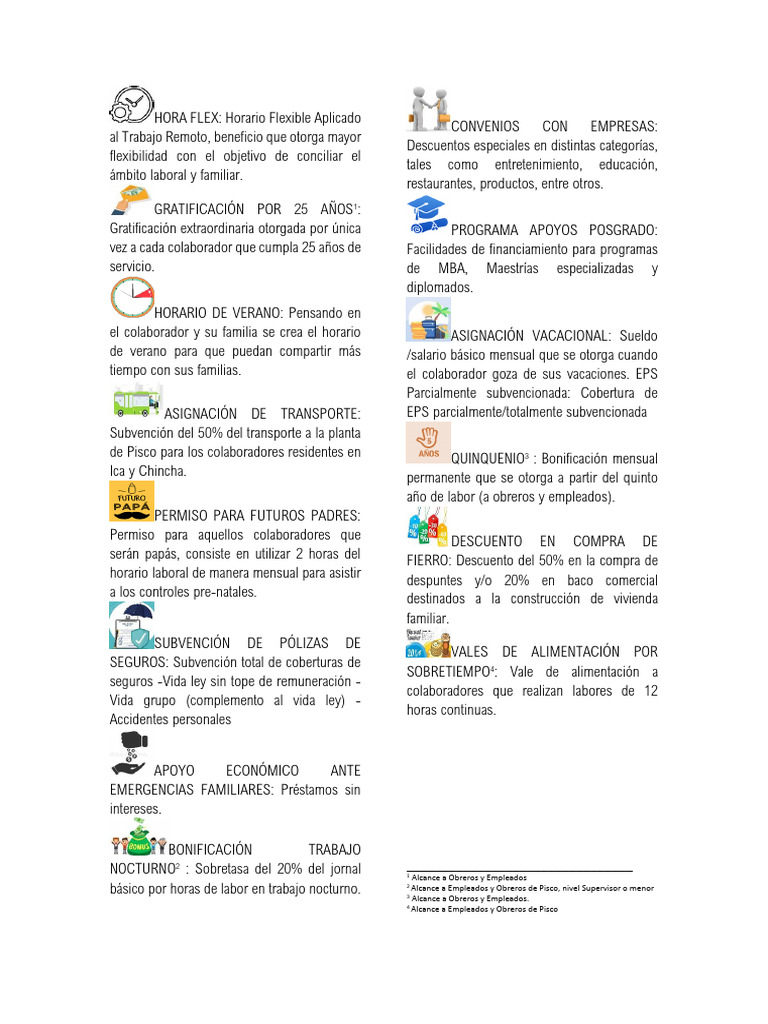 Hora Flex | PDF | Salario | Economias