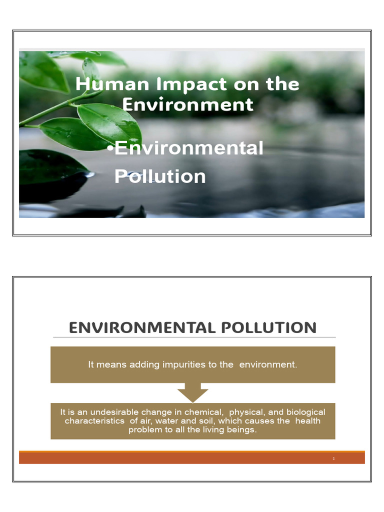 Human Impact On The Environment (Pollution) | PDF | Water Pollution | Waste Management