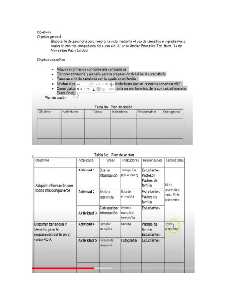 PLAN DE TRBAJO 2023 | PDF