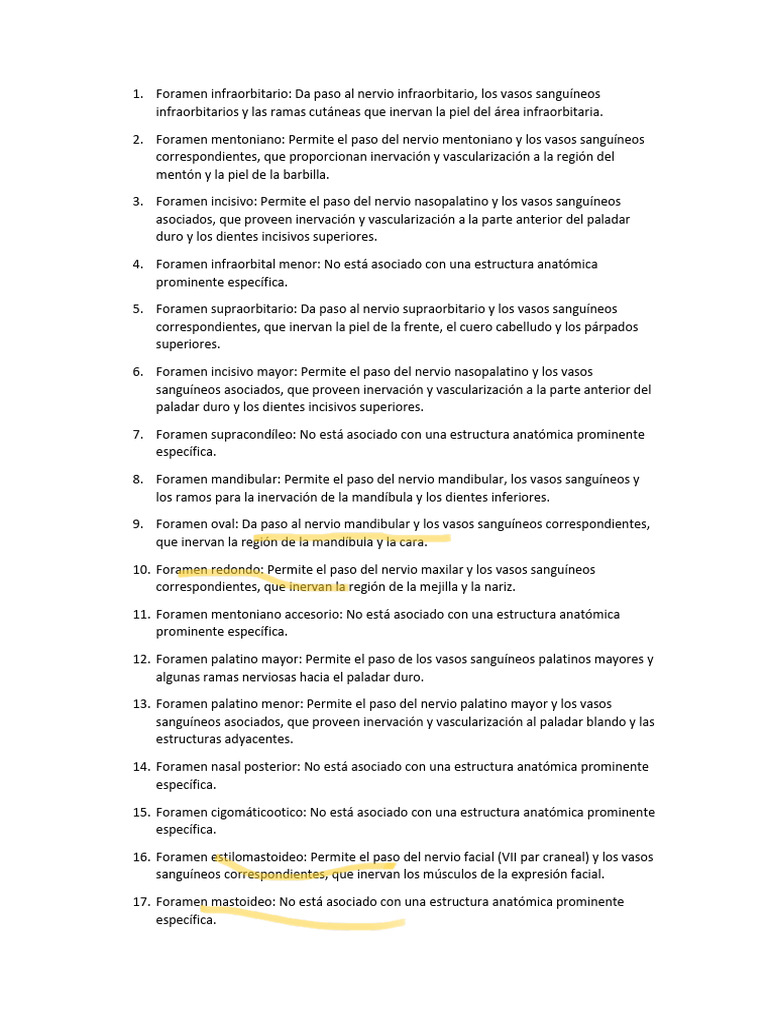 Forámenes Craneales y Funciones | PDF | Cabeza y cuello humanos | Anatomía