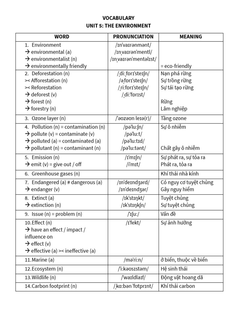 Unit 5 - Vocabulary | PDF